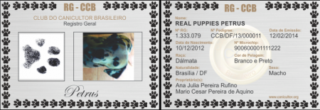 Sobre RG - Carteira de Identidade Canina :: PADRÃO RACIAL CANINOS